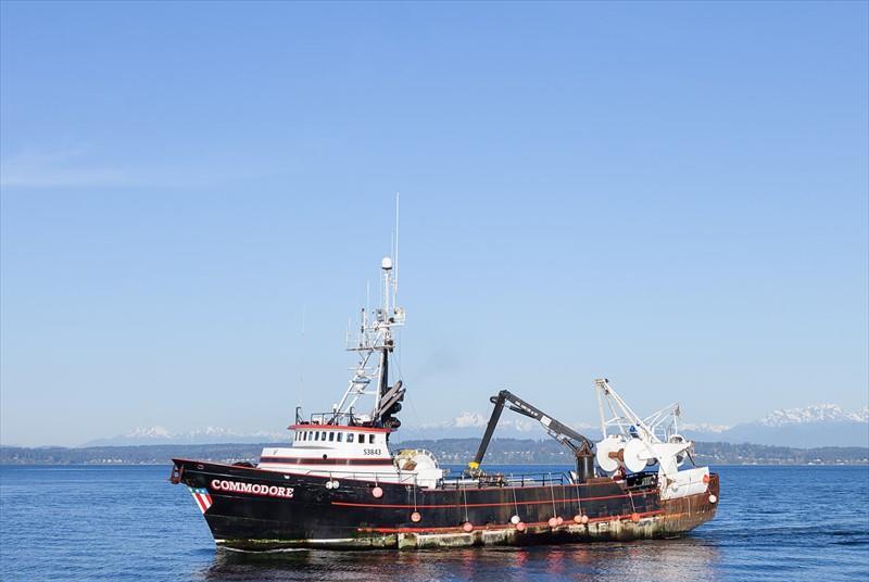 COMMODORE - Vesseljoin