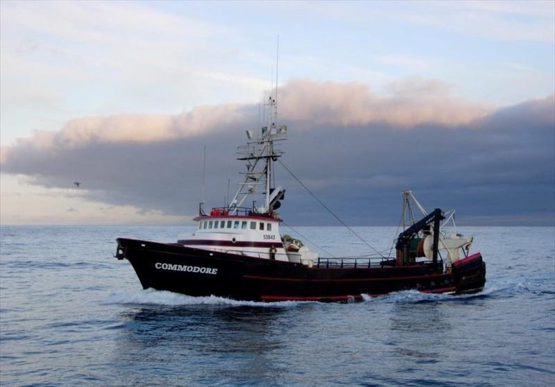 COMMODORE - Vesseljoin