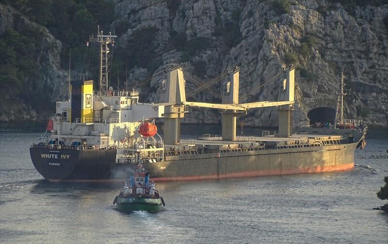 WHITE IVY - Vesseljoin