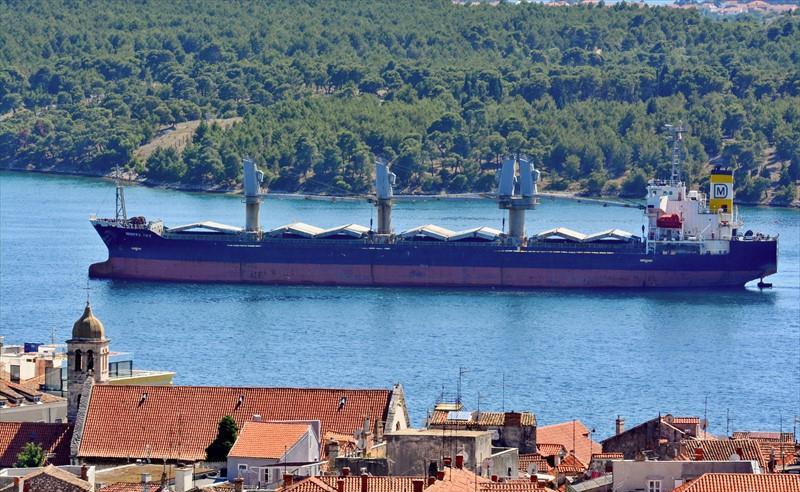 WHITE IVY - Vesseljoin