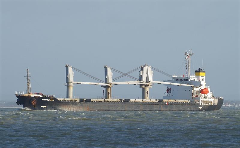 WHITE IVY - Vesseljoin