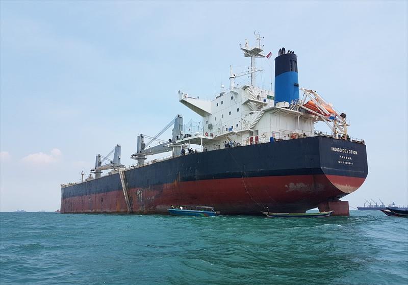 INDIGO DEVOTION - Vesseljoin