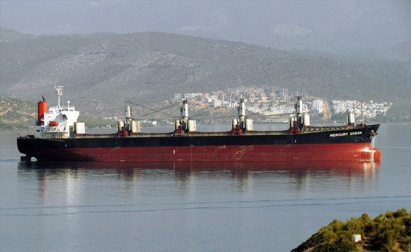 MERCURY OCEAN (Bulk Carrier) - IMO: 9480942 | Vessel Details