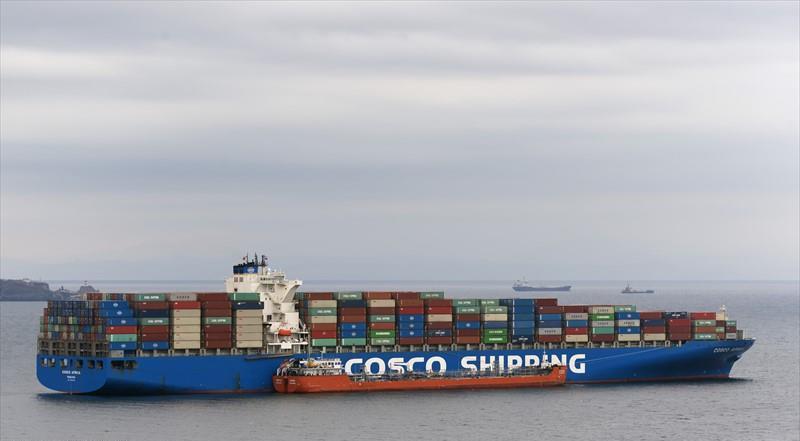 COSCO AFRICA - Vesseljoin