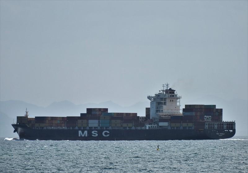MSC ANGELA - Vesseljoin