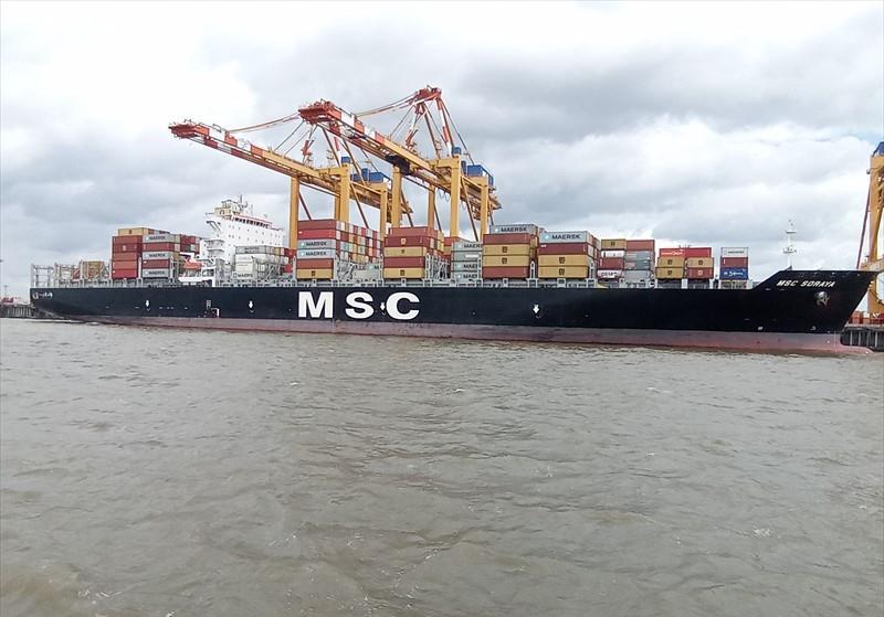 MSC SORAYA - Vesseljoin