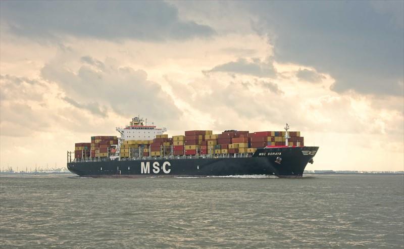 MSC SORAYA - Vesseljoin