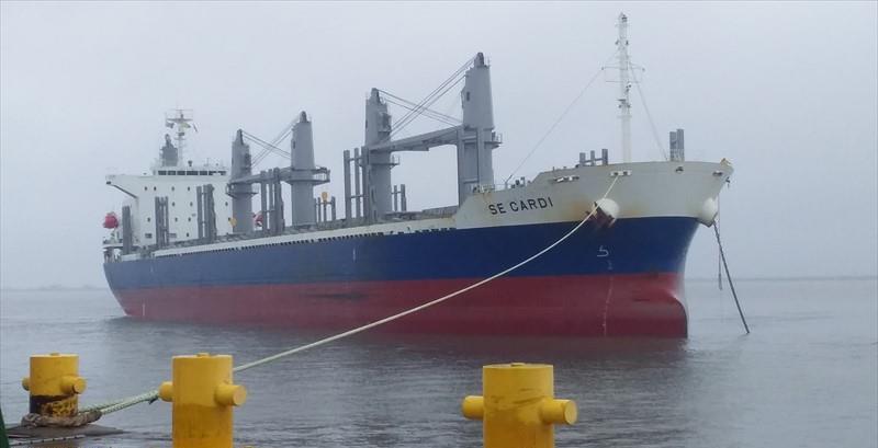 SE CARDI - Vesseljoin