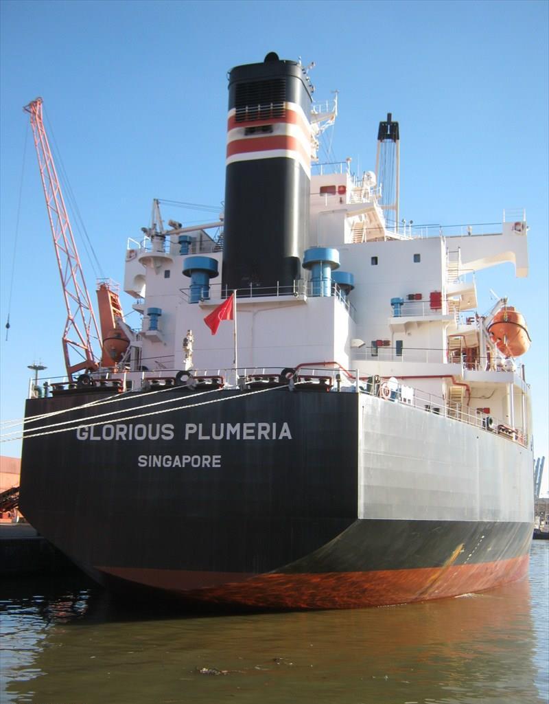 GLORIOUS PLUMERIA - Vesseljoin