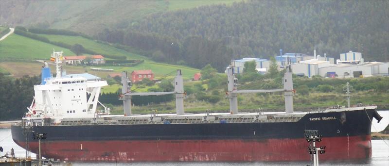 PACIFIC SEAGULL - Vesseljoin