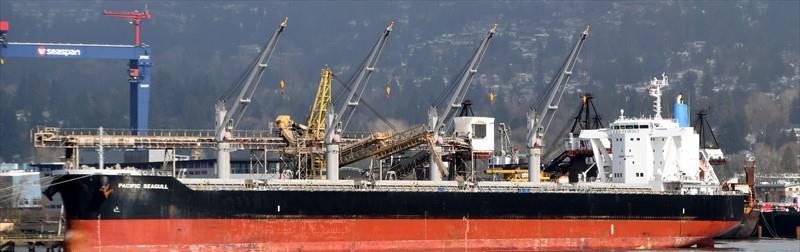 PACIFIC SEAGULL - Vesseljoin