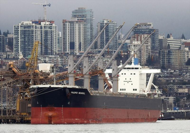 PACIFIC SEAGULL - Vesseljoin