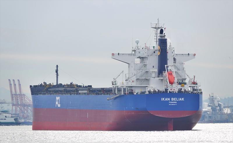 IKAN BELIAK - Vesseljoin