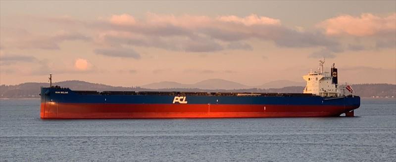 IKAN BELIAK - Vesseljoin