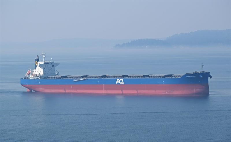 IKAN BELIAK - Vesseljoin