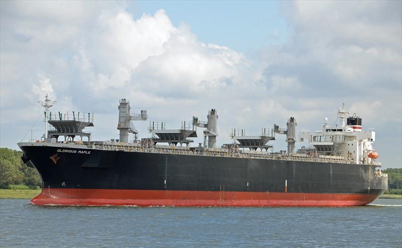 GLORIOUS MAPLE - Vesseljoin