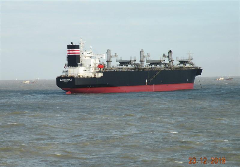 GLORIOUS MAPLE - Vesseljoin