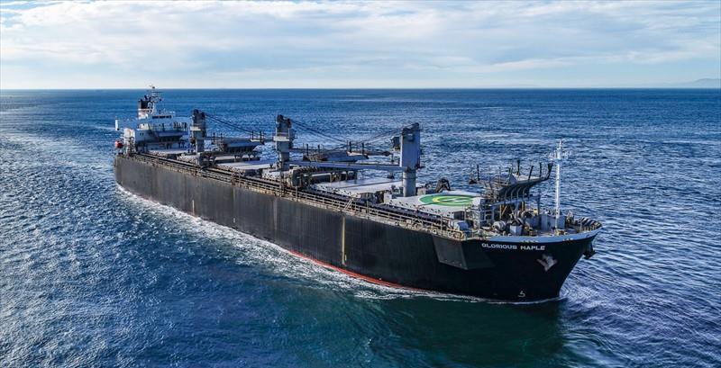 GLORIOUS MAPLE - Vesseljoin