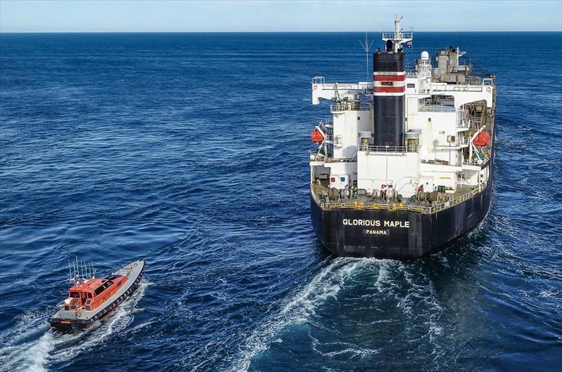 GLORIOUS MAPLE - Vesseljoin