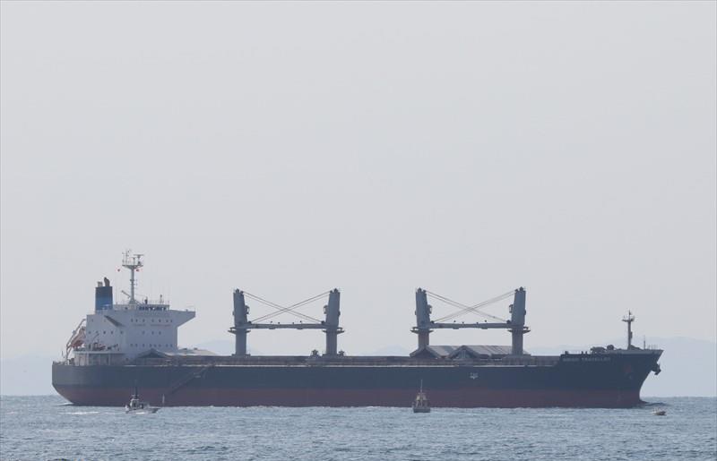 INDIGO TRAVELLER - Vesseljoin