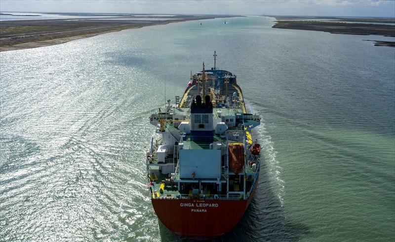 GINGA LEOPARD - Vesseljoin