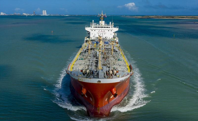 GINGA LEOPARD - Vesseljoin