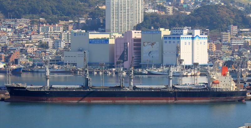 OCEAN RAINBOW - Vesseljoin