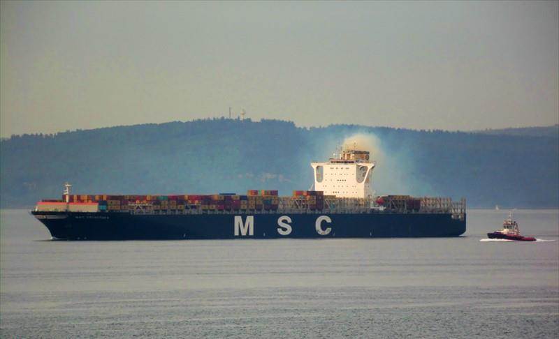 MSC FRANCESCA - Vesseljoin
