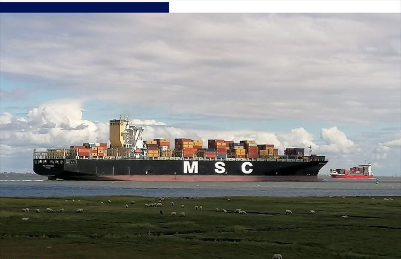 MSC FRANCESCA - Vesseljoin