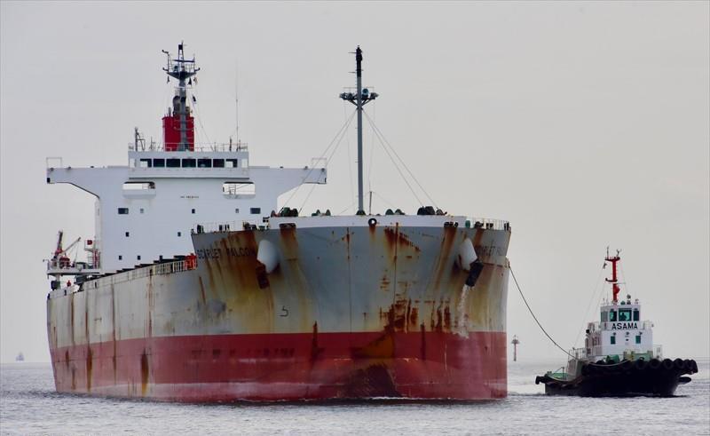 SCARLET FALCON - Vesseljoin