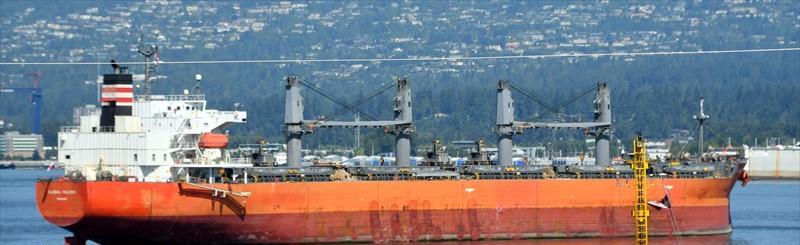 GLOBAL FALCON - Vesseljoin