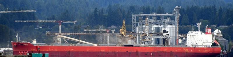 MG KRONOS - Vesseljoin