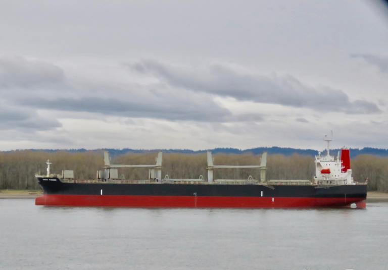 KMTC GWANGYANG - Vesseljoin