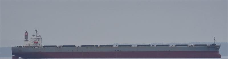 CAPE MAPLE - Vesseljoin