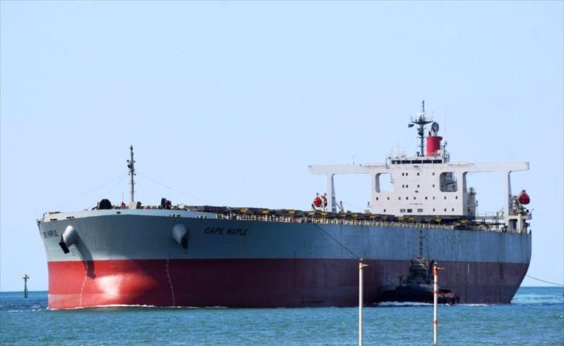 CAPE MAPLE - Vesseljoin