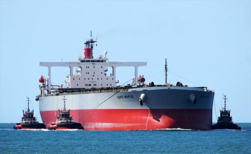 CAPE MAPLE - Vesseljoin