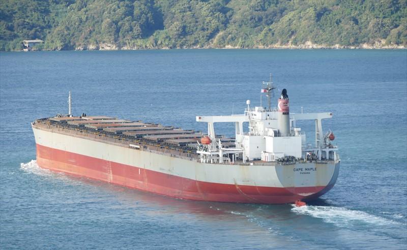 CAPE MAPLE - Vesseljoin