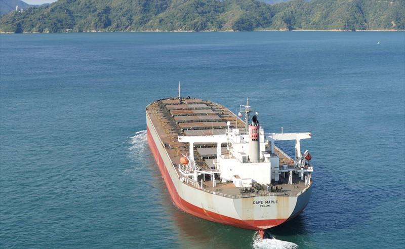 CAPE MAPLE - Vesseljoin