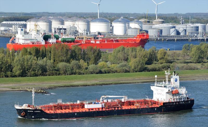 BUNGA LAUREL - Vesseljoin