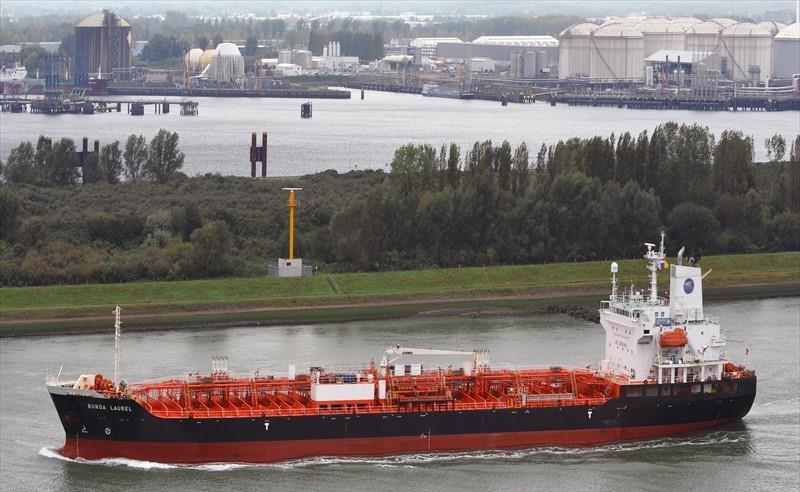 BUNGA LAUREL - Vesseljoin