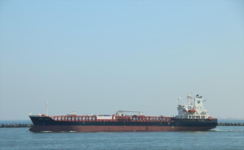 BUNGA LAUREL - Vesseljoin