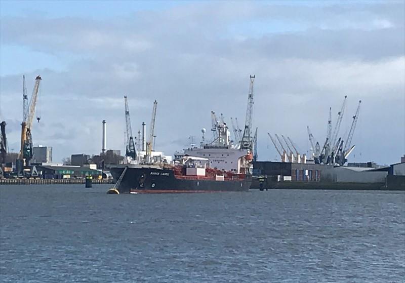 BUNGA LAUREL - Vesseljoin