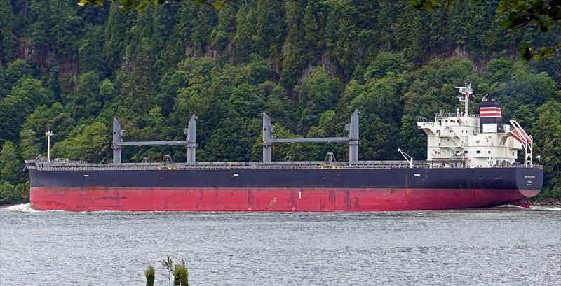 NEW CONFIDENCE - Vesseljoin