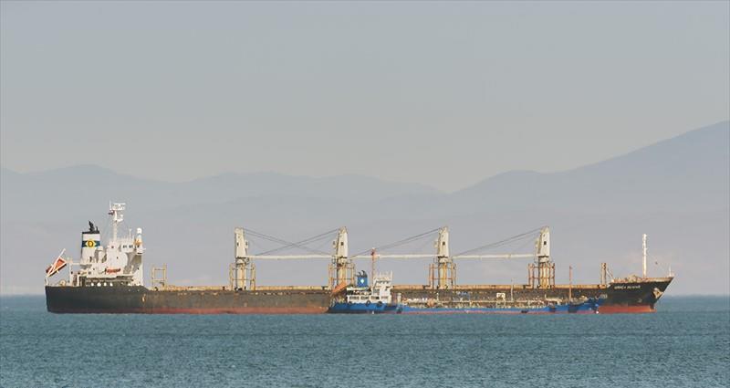 ITHACA PATIENCE - Vesseljoin