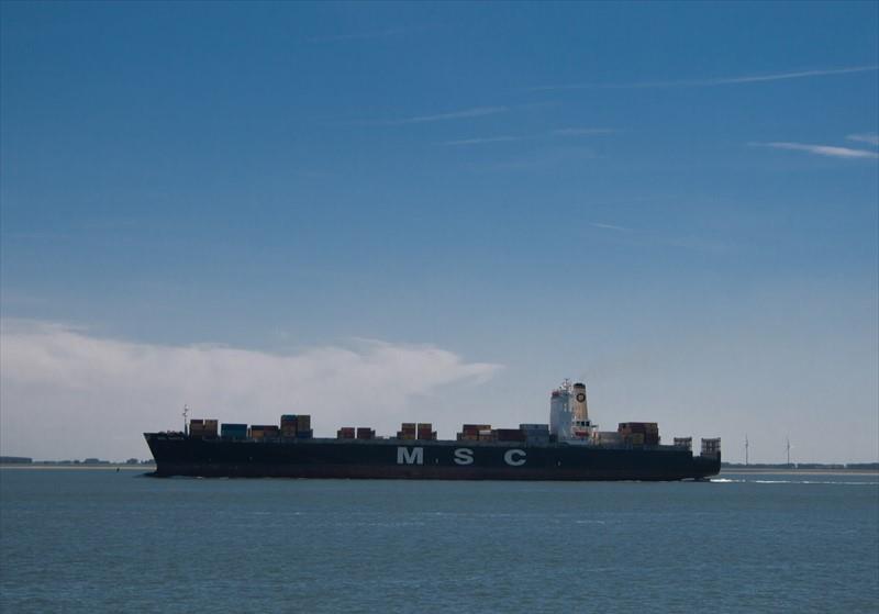 MSC MARTA - Vesseljoin