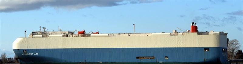 MARVELOUS ACE - Vesseljoin