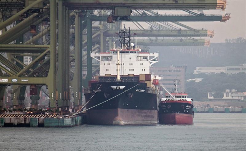 MSC GIANNA - Vesseljoin