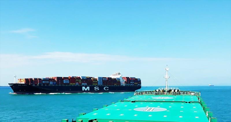 MSC RANIA - Vesseljoin