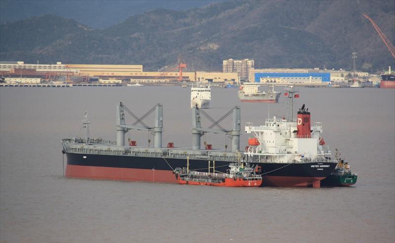 UNITED HARMONY - Vesseljoin