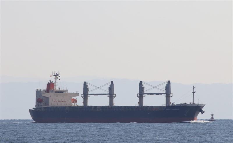 BASIC RAINBOW - Vesseljoin